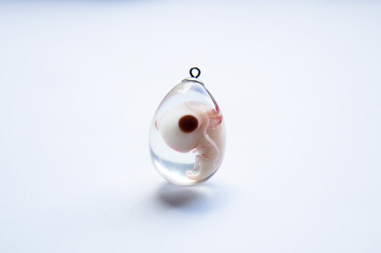 Axolotl Fetus Embryo Jewelry by Cocoonlamp. Polymer Clay and | Etsy ...