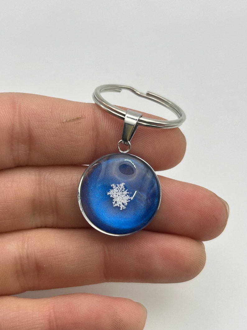 Real Snowflake Preserved Artist Danielle Oliver Captured Real Snowflake ...