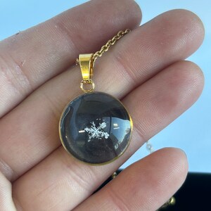 Real Snowflake Preserved Artist Danielle Oliver Captured Real Snowflake ...