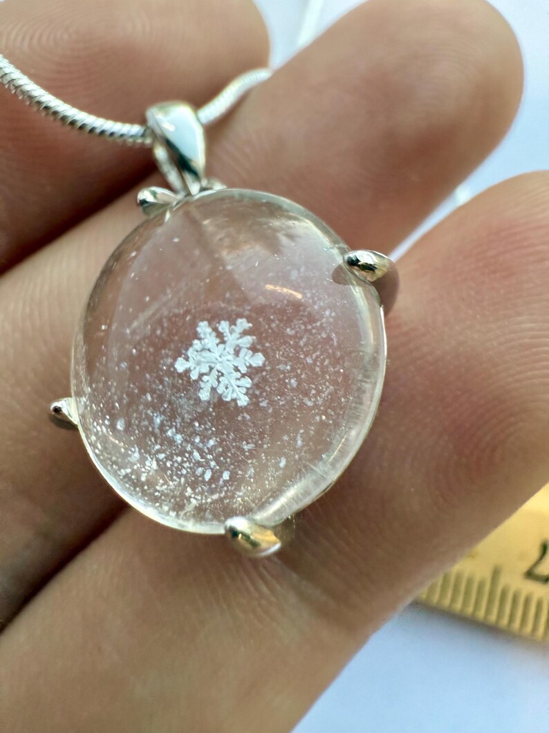 Real Snowflake Preserved - Artist Danielle Oliver - Captured Real ...