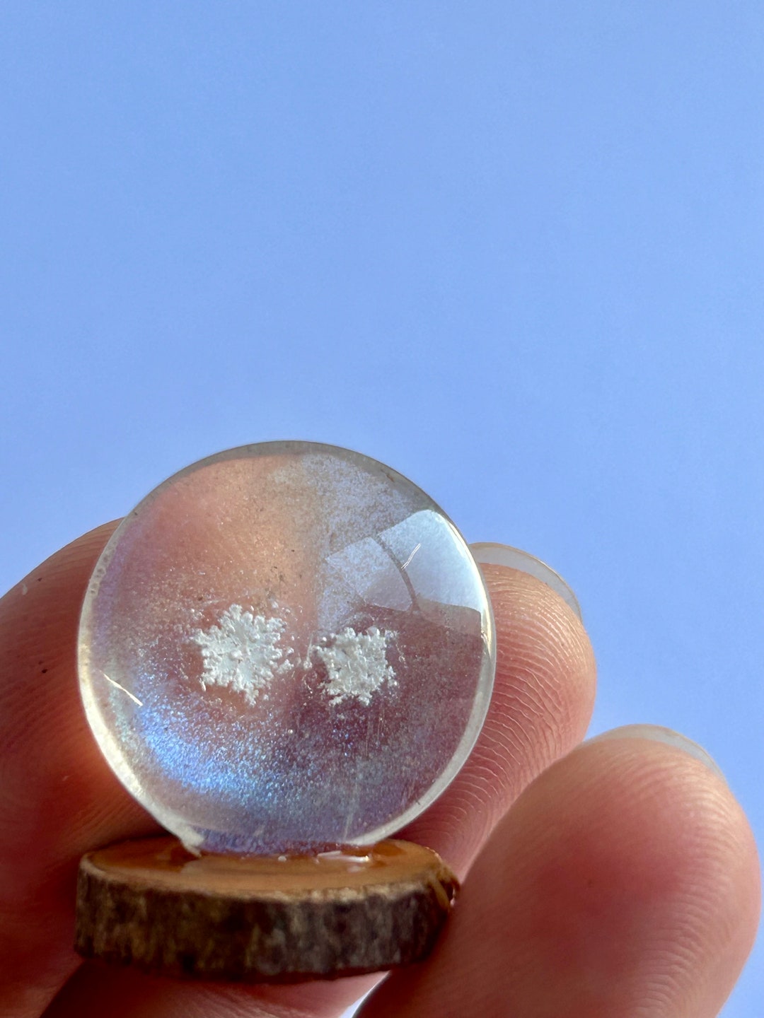 Real Snowflake Preserved - Artist Danielle Oliver - Captured Real ...