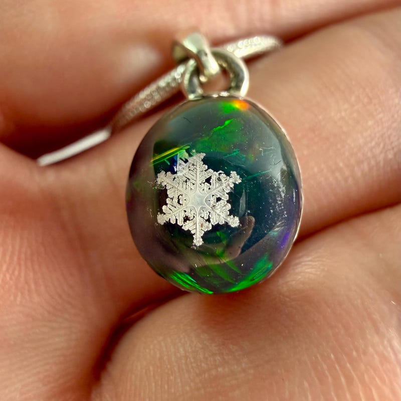 Snowflakes Preserved - Etsy
