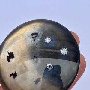 Real Snowflake Preserved - Artist Danielle Oliver - Captured Real ...