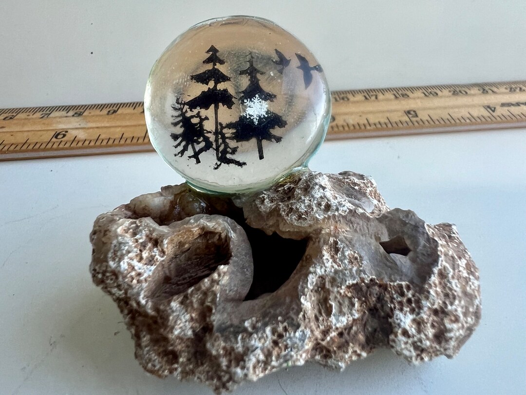 Real Snowflake Preserved Artist Danielle Oliver Captured - Etsy