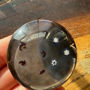 Real Snowflake Preserved - Artist Danielle Oliver - Captured Real ...