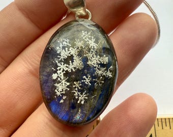 Real Snowflake Preserved - Artist Danielle Oliver - Captured Real ...