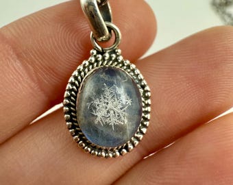 Real Snowflake Preserved - Artist Danielle Oliver - Captured Real ...