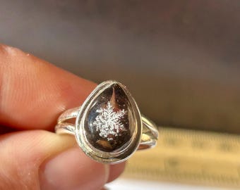 Real Snowflake Preserved Artist Danielle Oliver Captured Real Snowflake ...