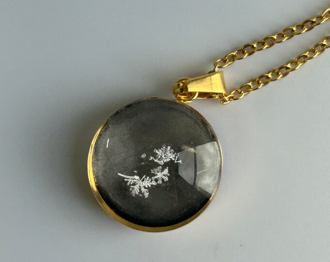 Real Snowflake Preserved - Artist Danielle Oliver - Captured Real ...