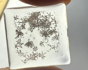 Real Snowflake Preserved - Artist Danielle Oliver - Captured Real ...