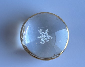 Real Snowflake Preserved Artist Danielle Oliver Captured Real Snowflake ...