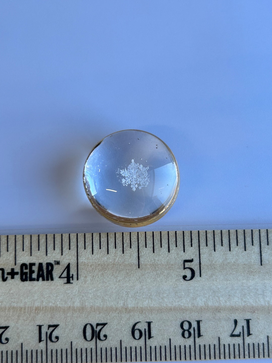 Real Snowflake Preserved - Artist Danielle Oliver - Captured Real ...