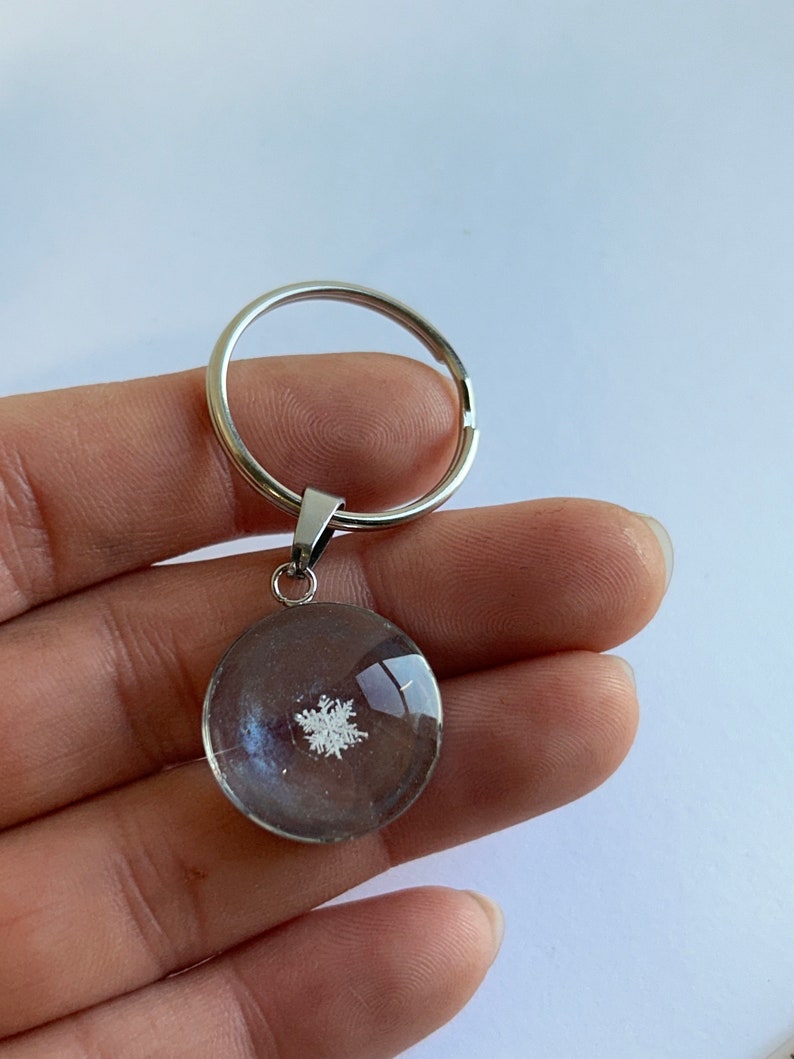 Real Snowflake Preserved Artist Danielle Oliver Captured Real Snowflake ...