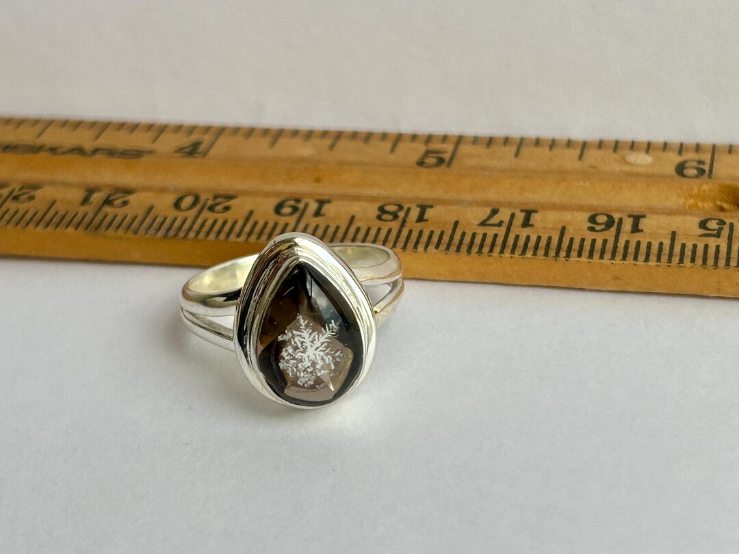 Real Snowflake Preserved Artist Danielle Oliver Captured Real Snowflake ...