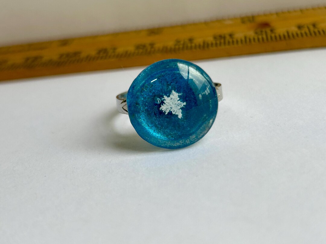 Real Snowflake Preserved Artist Danielle Oliver Captured Real Snowflake ...
