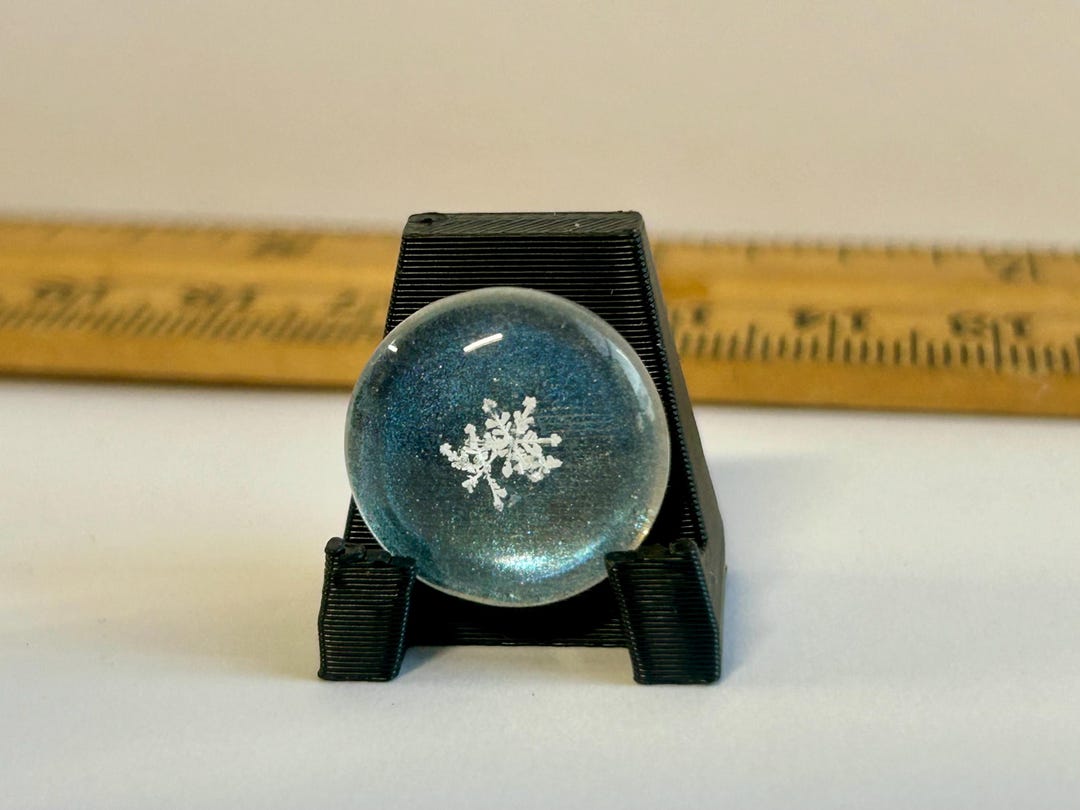 Real Snowflake Preserved Artist Danielle Oliver Captured Real Snowflake ...
