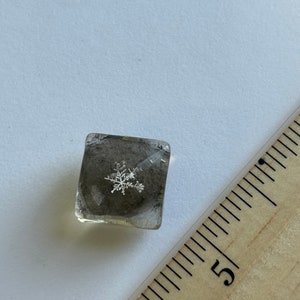 Real Snowflake Preserved Artist Danielle Oliver Captured Real Snowflake ...