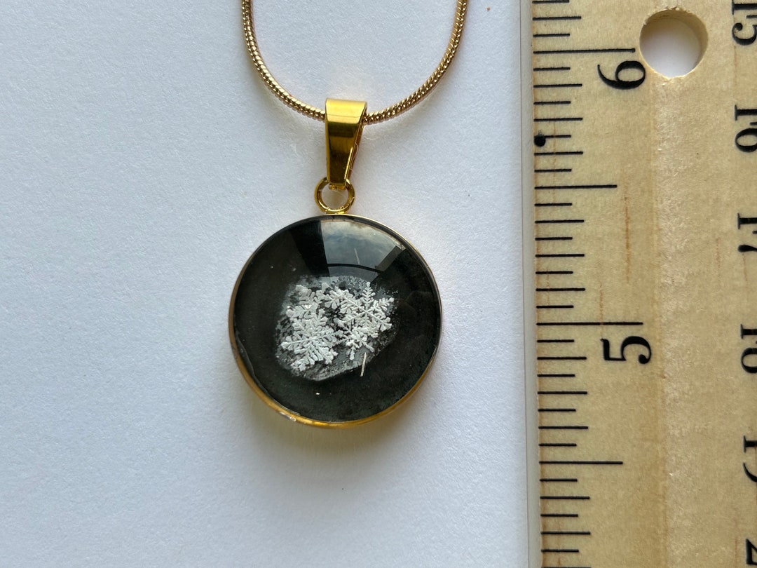 Real Snowflake Preserved Artist Danielle Oliver Captured Real Snowflake ...