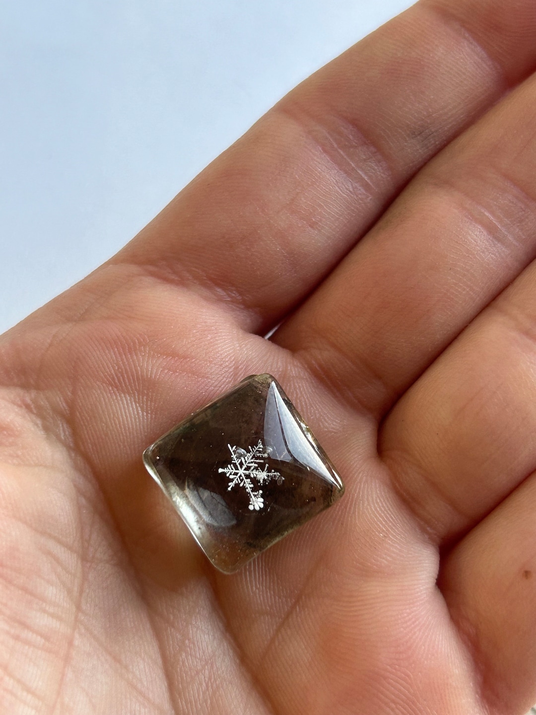 Real Snowflake Preserved - Artist Danielle Oliver - Captured Real ...