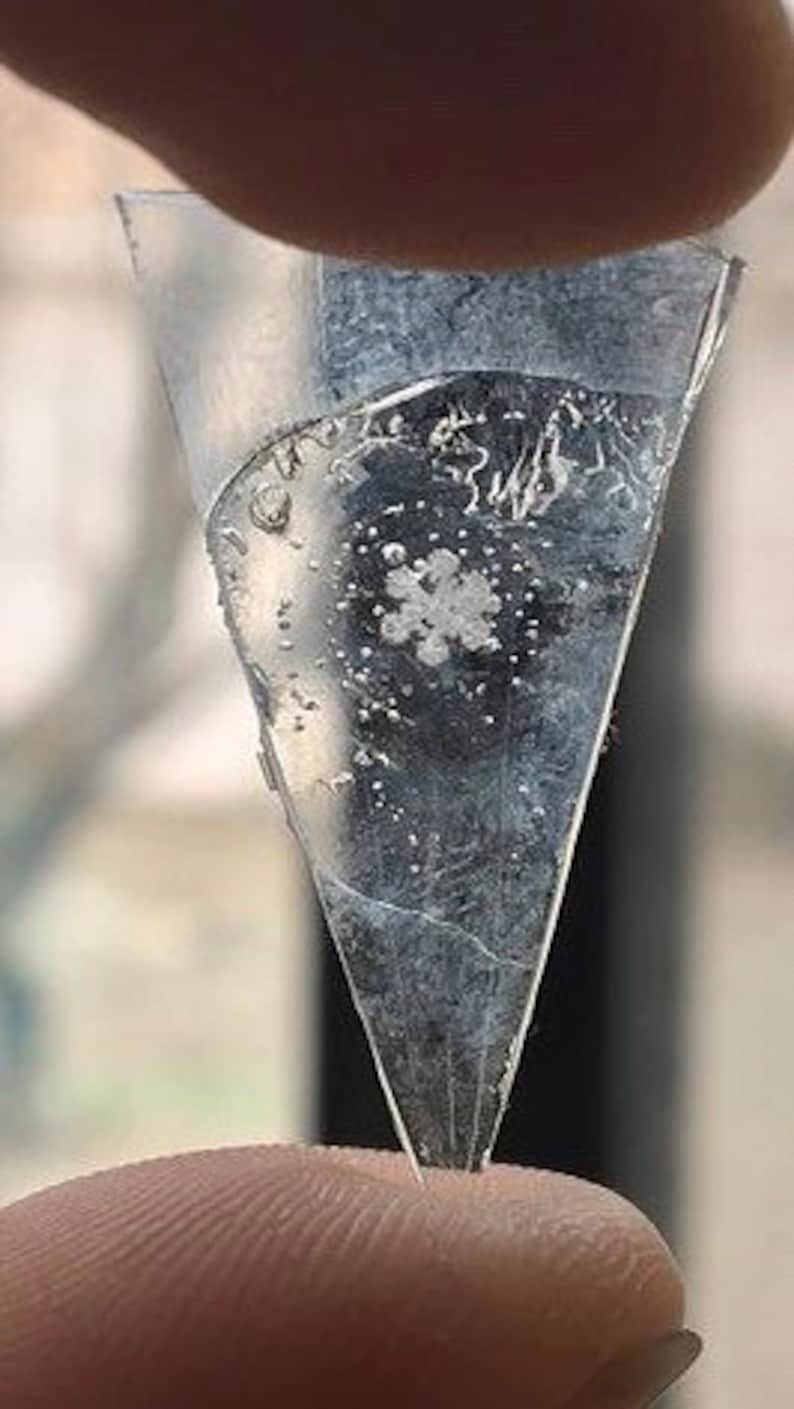 Real Snowflake Preserved Snowflake Real Snowflake Real Snowflake ...