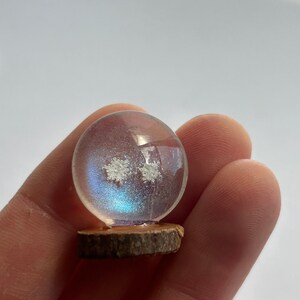 Real Snowflake Preserved Artist Danielle Oliver Captured Real Snowflake ...