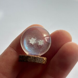 Real Snowflake Preserved Artist Danielle Oliver Captured Real Snowflake ...