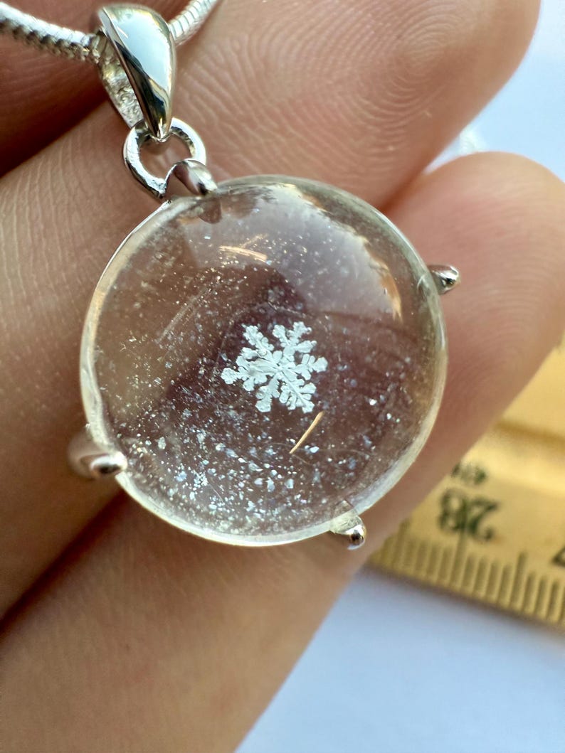 Real Snowflake Preserved - Artist Danielle Oliver - Captured Real ...