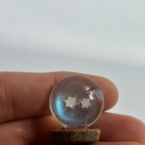 Real Snowflake Preserved Artist Danielle Oliver Captured Real Snowflake ...