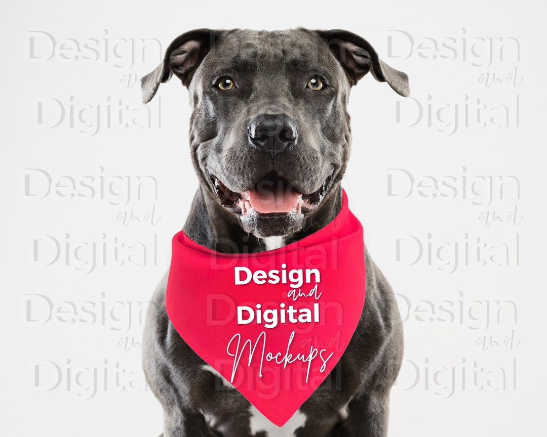 Dog Bandana Mockup | Red Dog Bandana Mockup | Dog Mockup | Dog Mockup ...