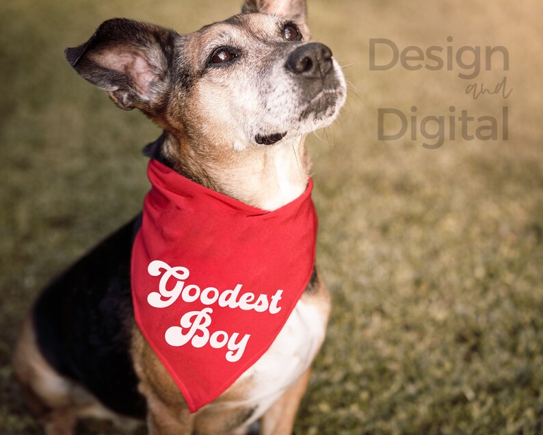 Dog Bandana Svg Bundle | Dog SVG | Summer Dog SVG | Cute Dog Bandana ...