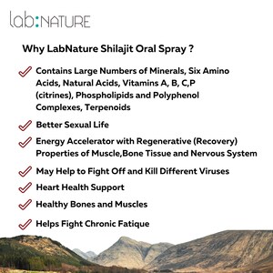 Shilajit Oral Spray Powerful Energy Booster 20ml - Etsy