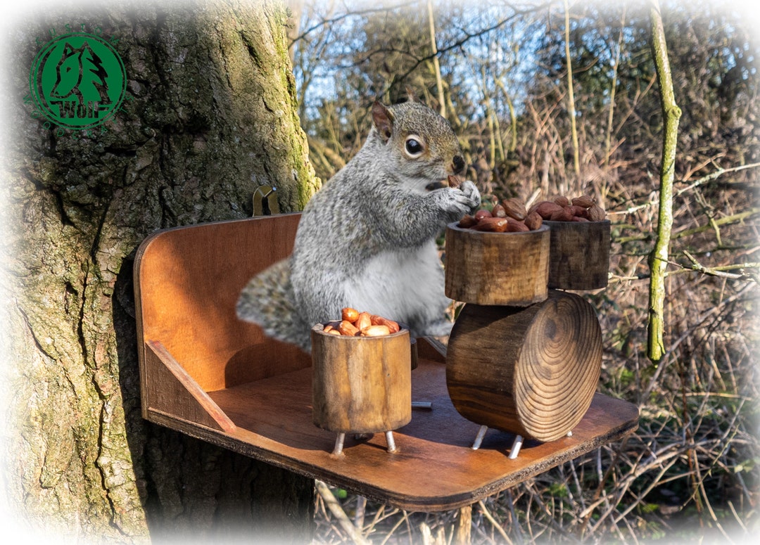 Squirrel Feeder Bird Feeder Drum Kit - Etsy