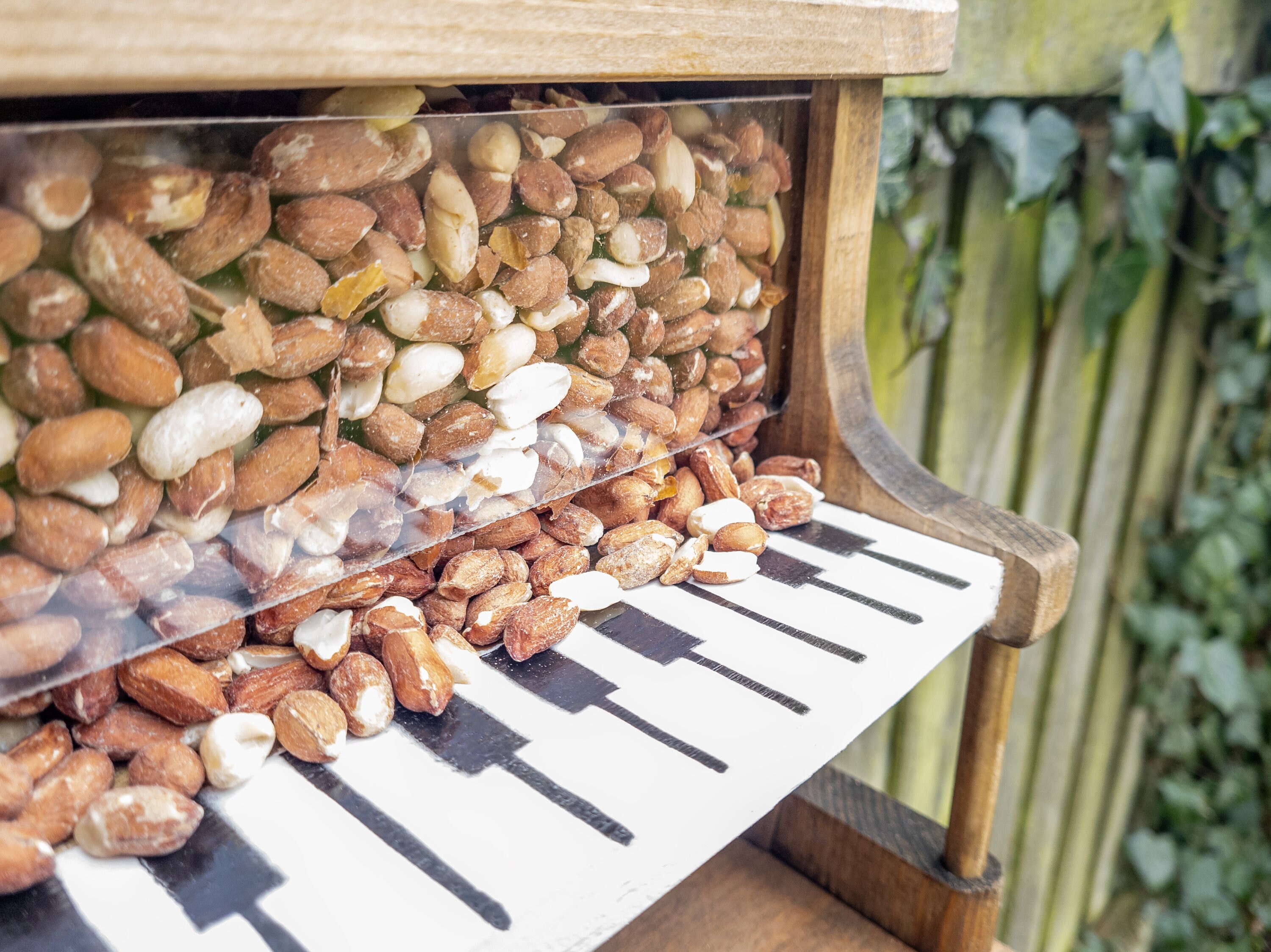 Squirrel Feeder Piano - Etsy UK