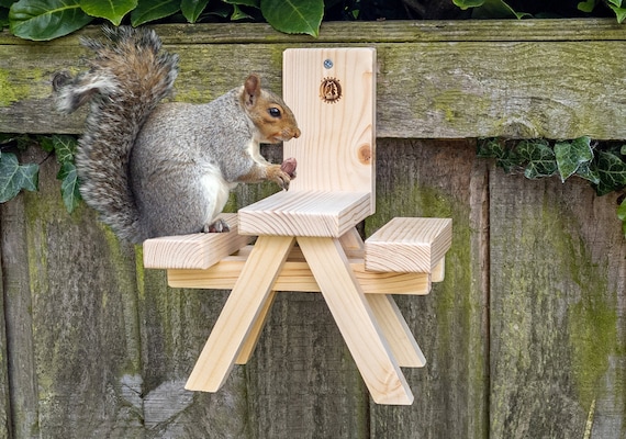 Squirrel Feeder Picnic Table - Etsy