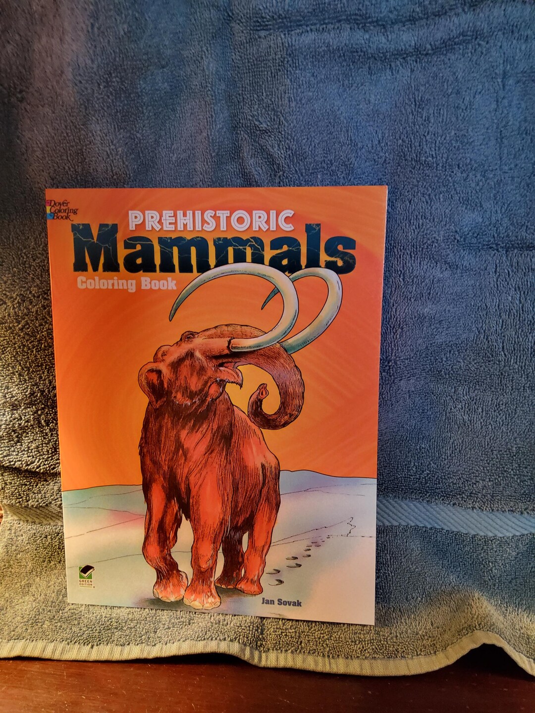 1991 Prehistoric Mammals Coloring Book - Etsy