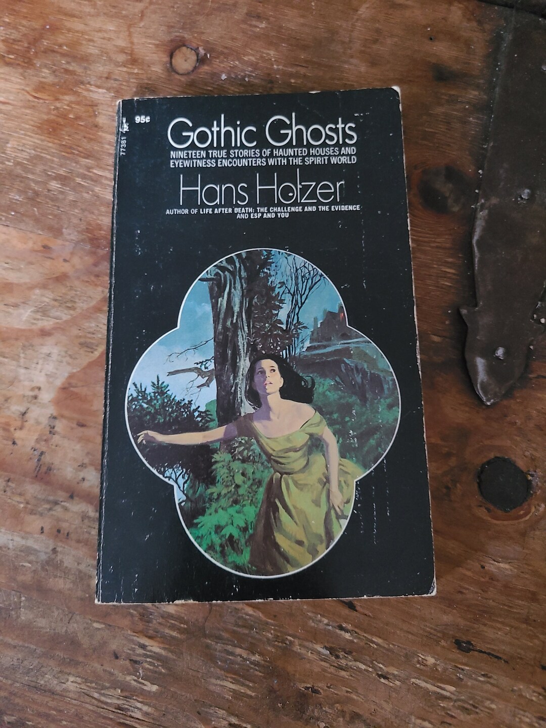 Gothic Ghosts. Nineteen True Stories of Haunted Houses and Encounters ...