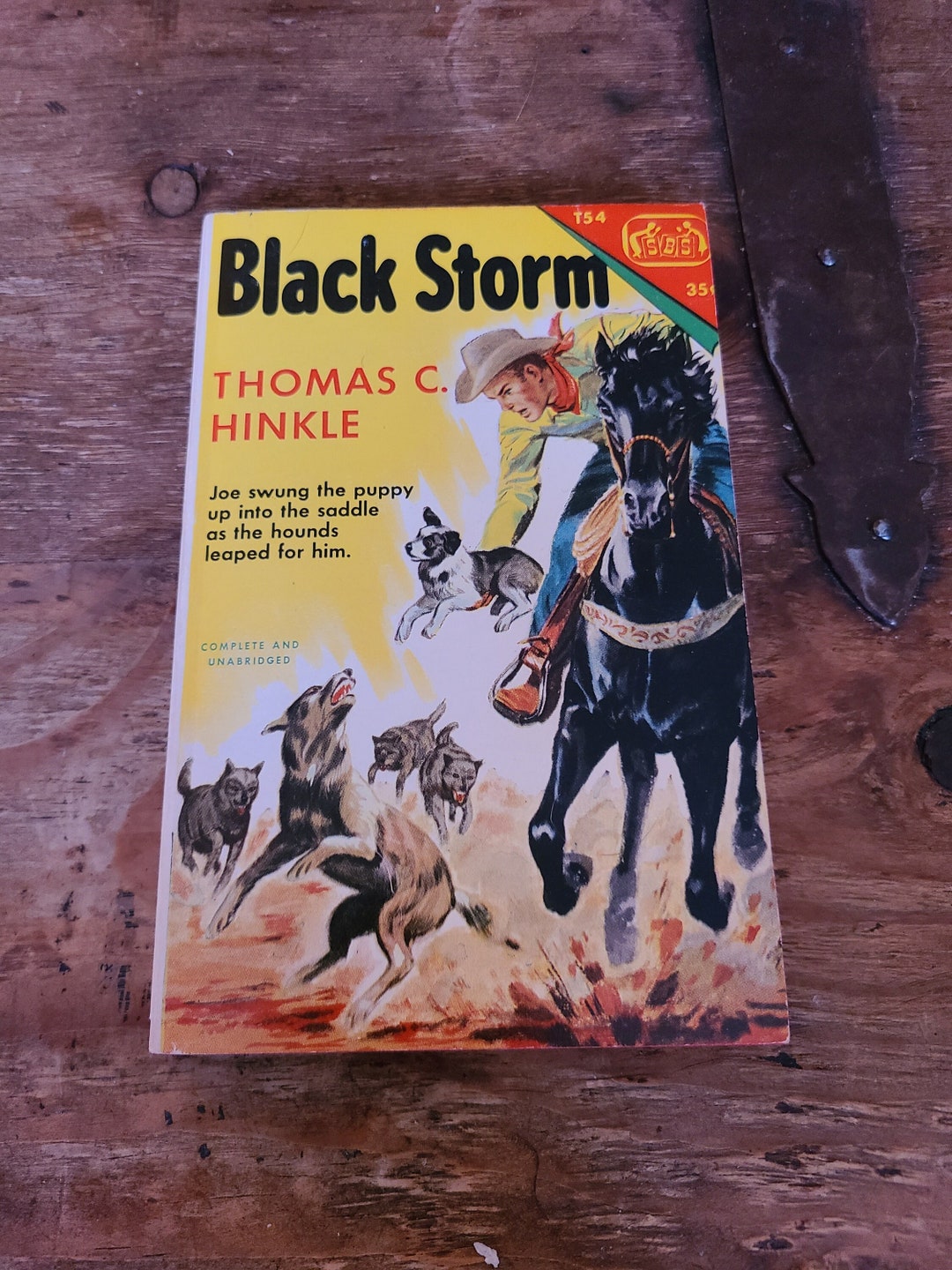 Black Storm. Thomas C. Hinkle. Scholastic. 1968. Later Printing. - Etsy