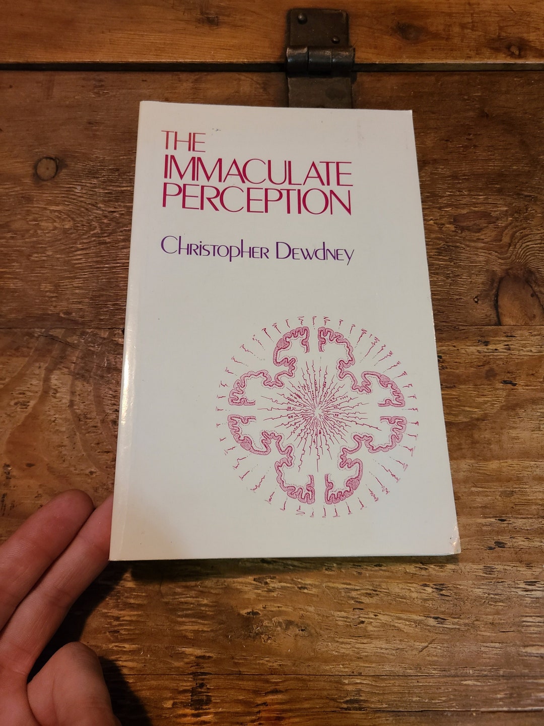 The Immaculate Perception. Christopher Dewdney. Anansi. 1986. - Etsy