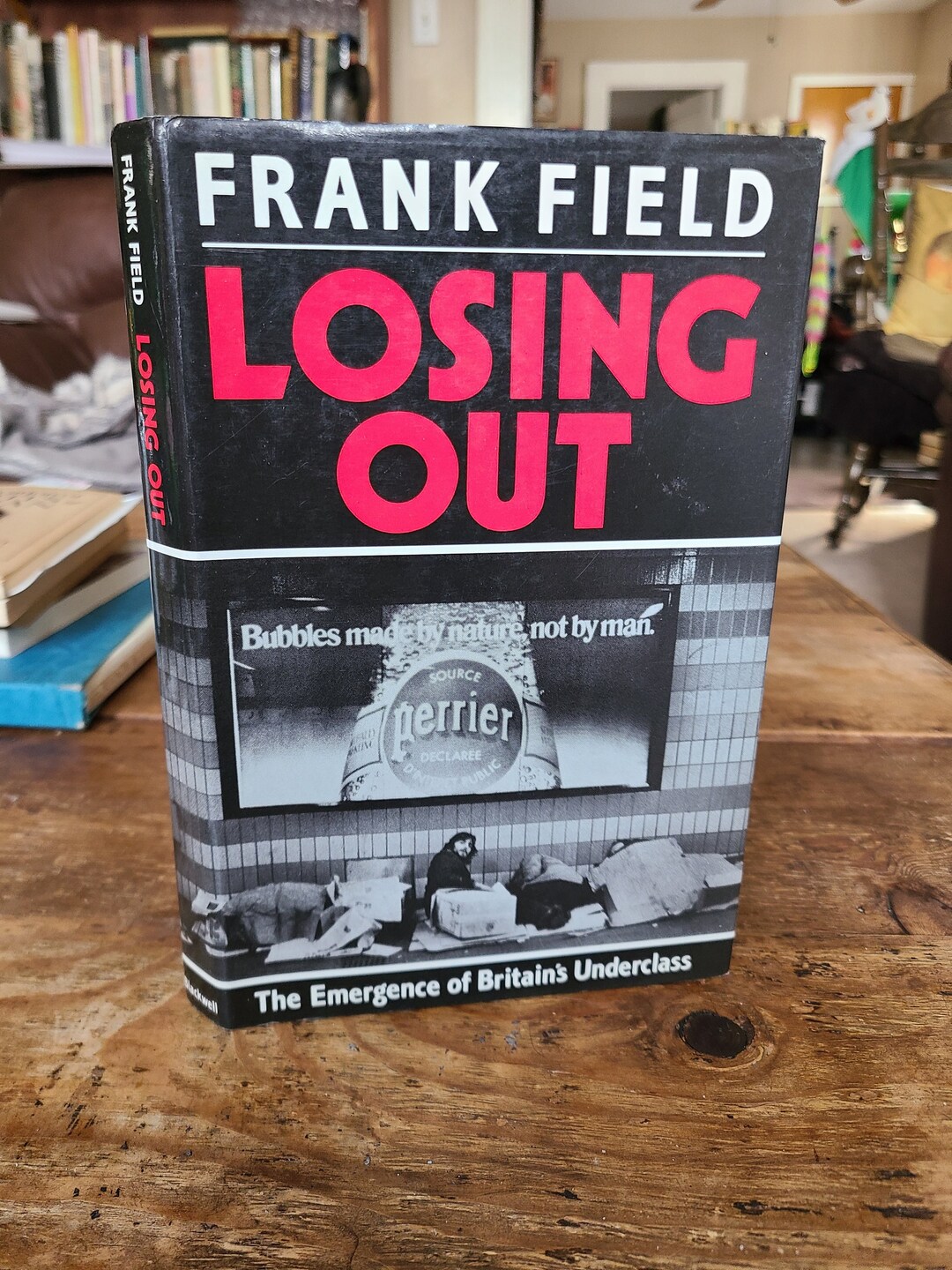 Losing Out. the Emergence of Britain's Underclass. Frank Field ...