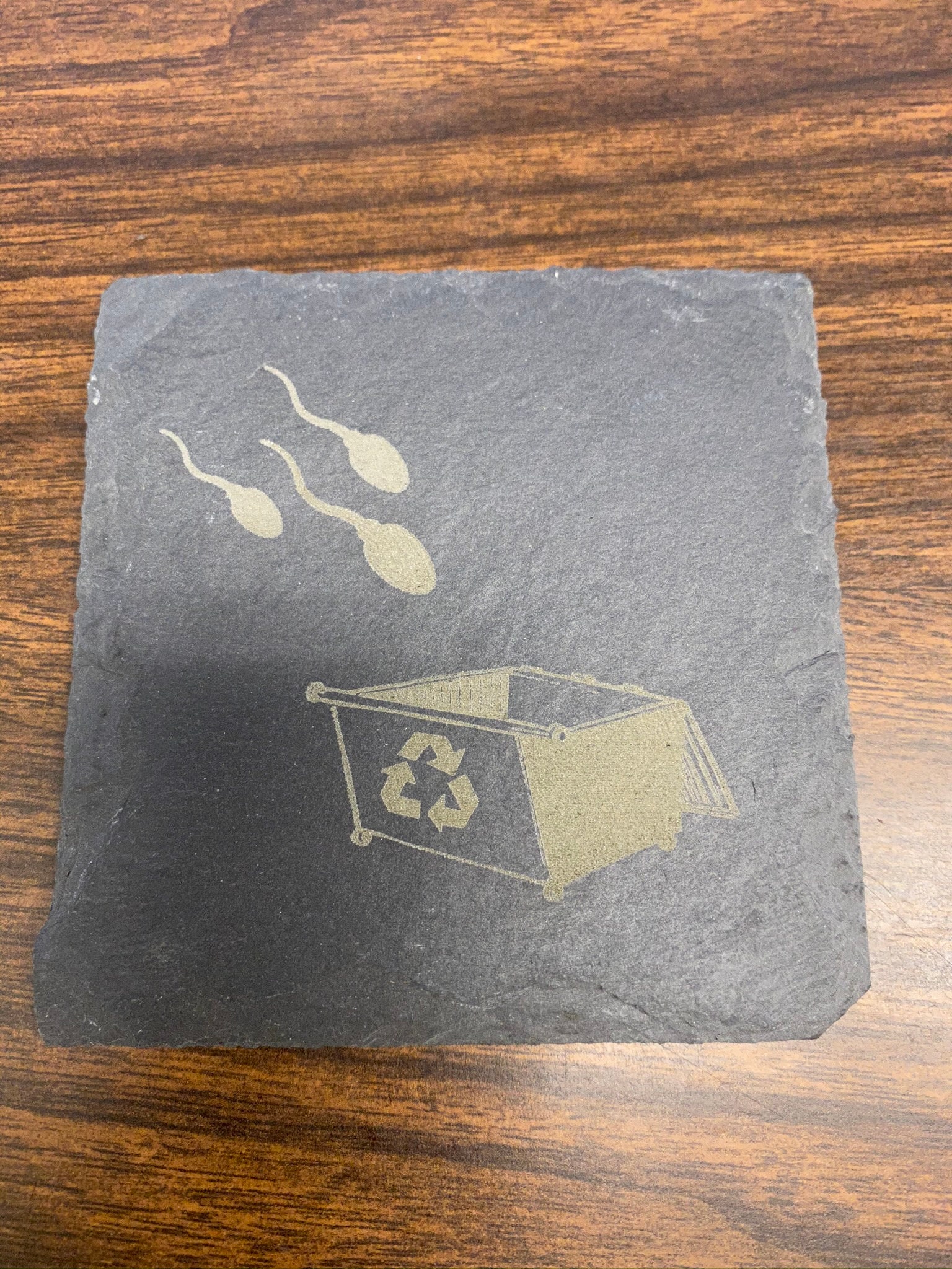 Cum Dumpster Coaster - Etsy
