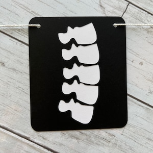 X-ray Radiology Radiography Tech Ultrasound Technician Graduation Rad ...