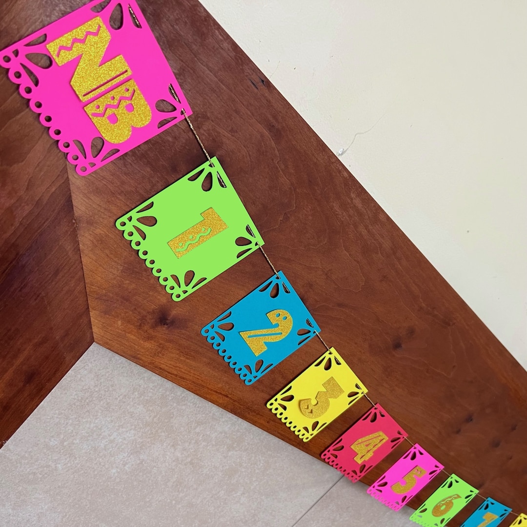 Fiesta Papel Picado Birthday Mexico Cancun Cactus ONE Taco Monthly ...