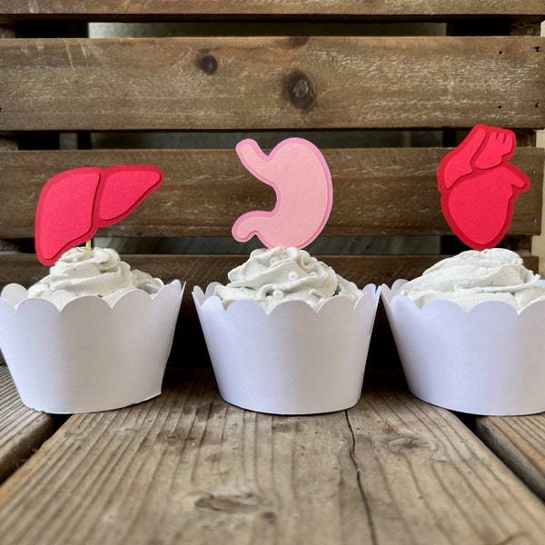 Human Organ Cupcake Toppers - Etsy