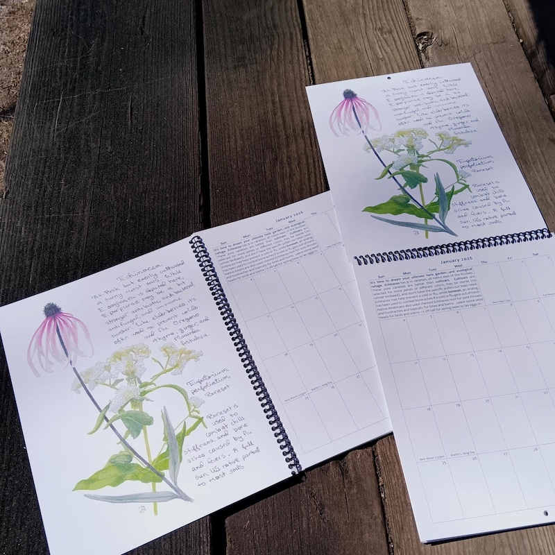 2026 Calendar Herbal - Etsy