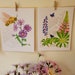 12 Native Plants & Pollinators Cards all Different a - Etsy