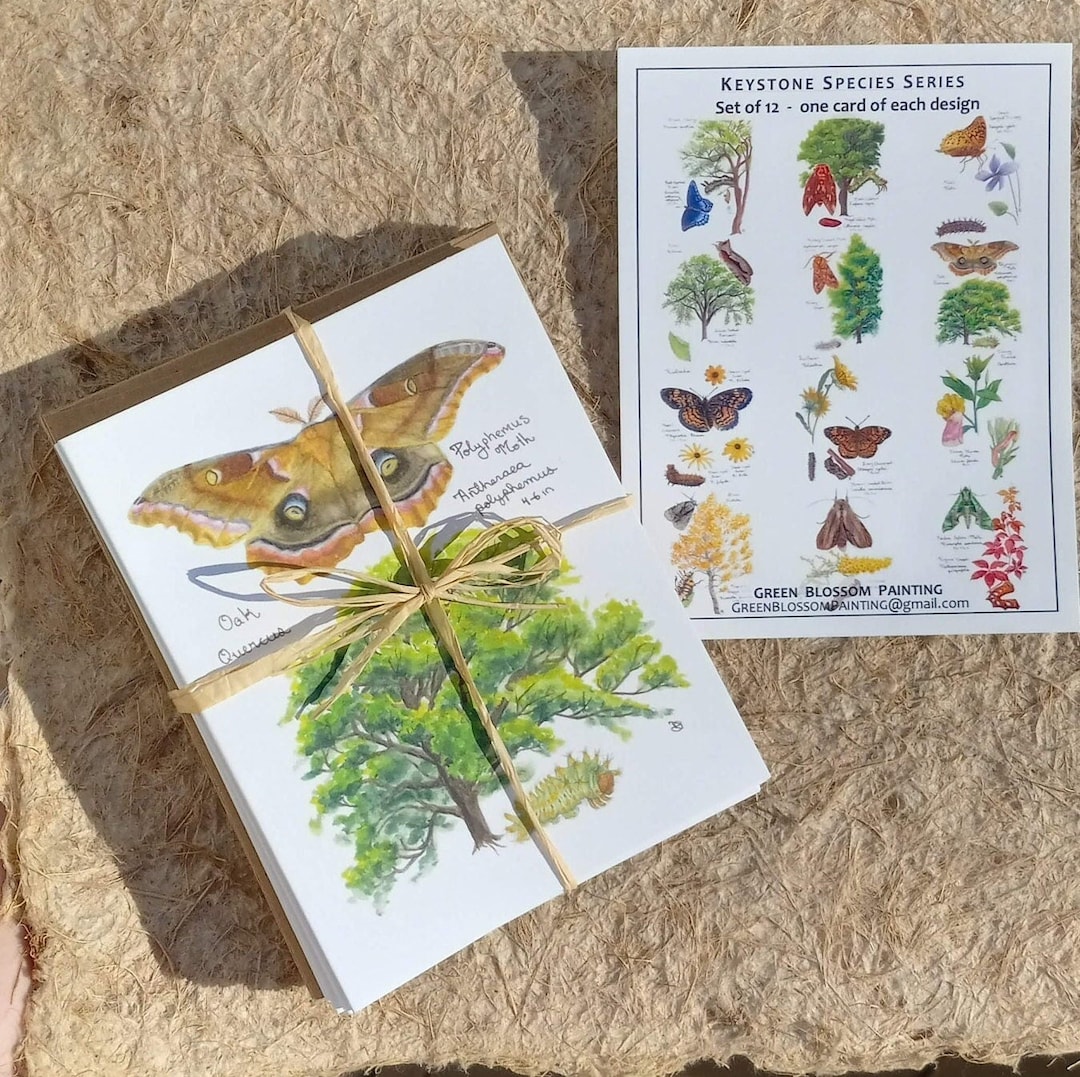12 Different Keystone Species Cards, Native Plants W Lepidoptera Art W ...