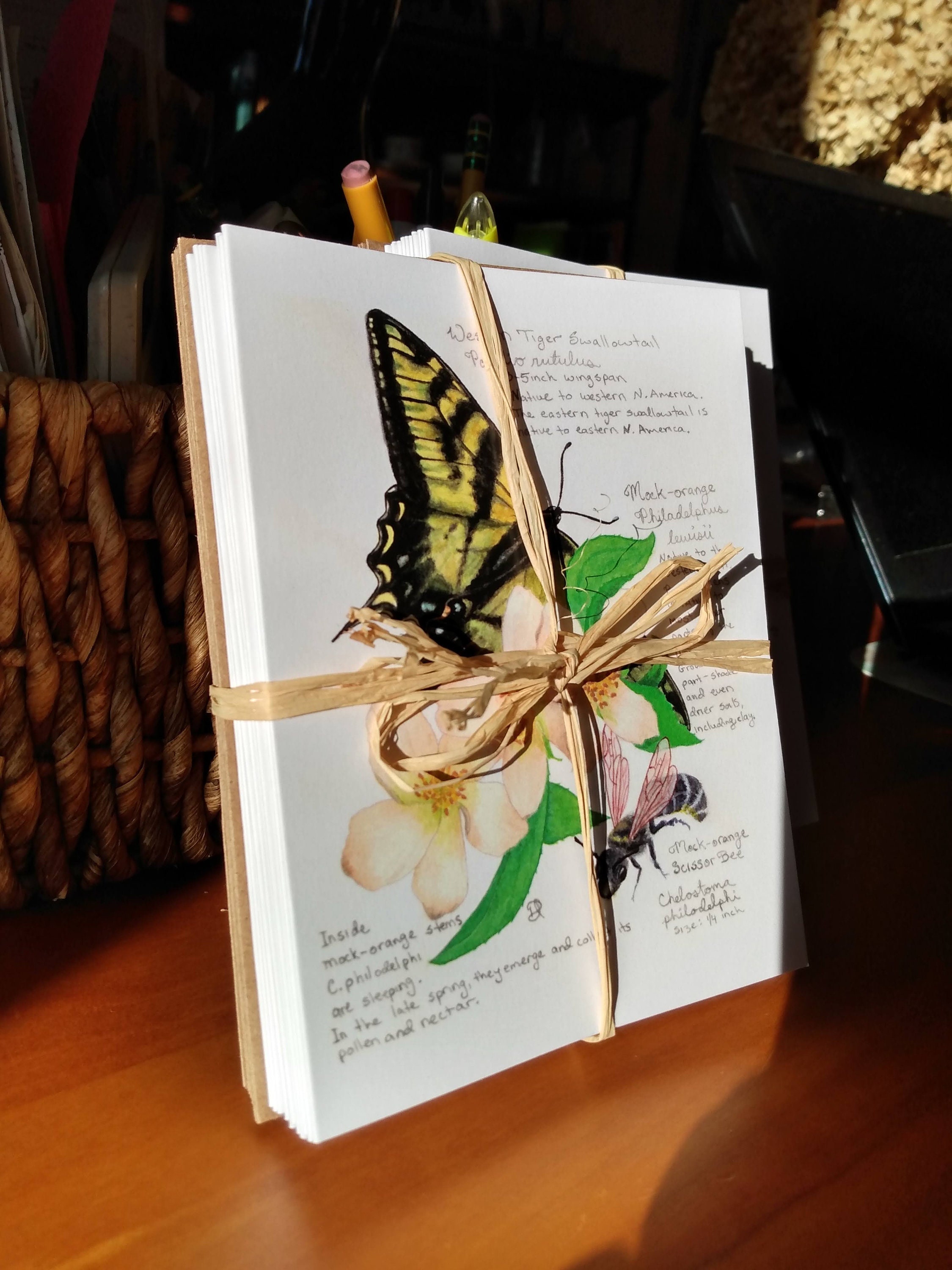 12 Native Plants & Pollinators Cards (all Different) - a Delight for ...