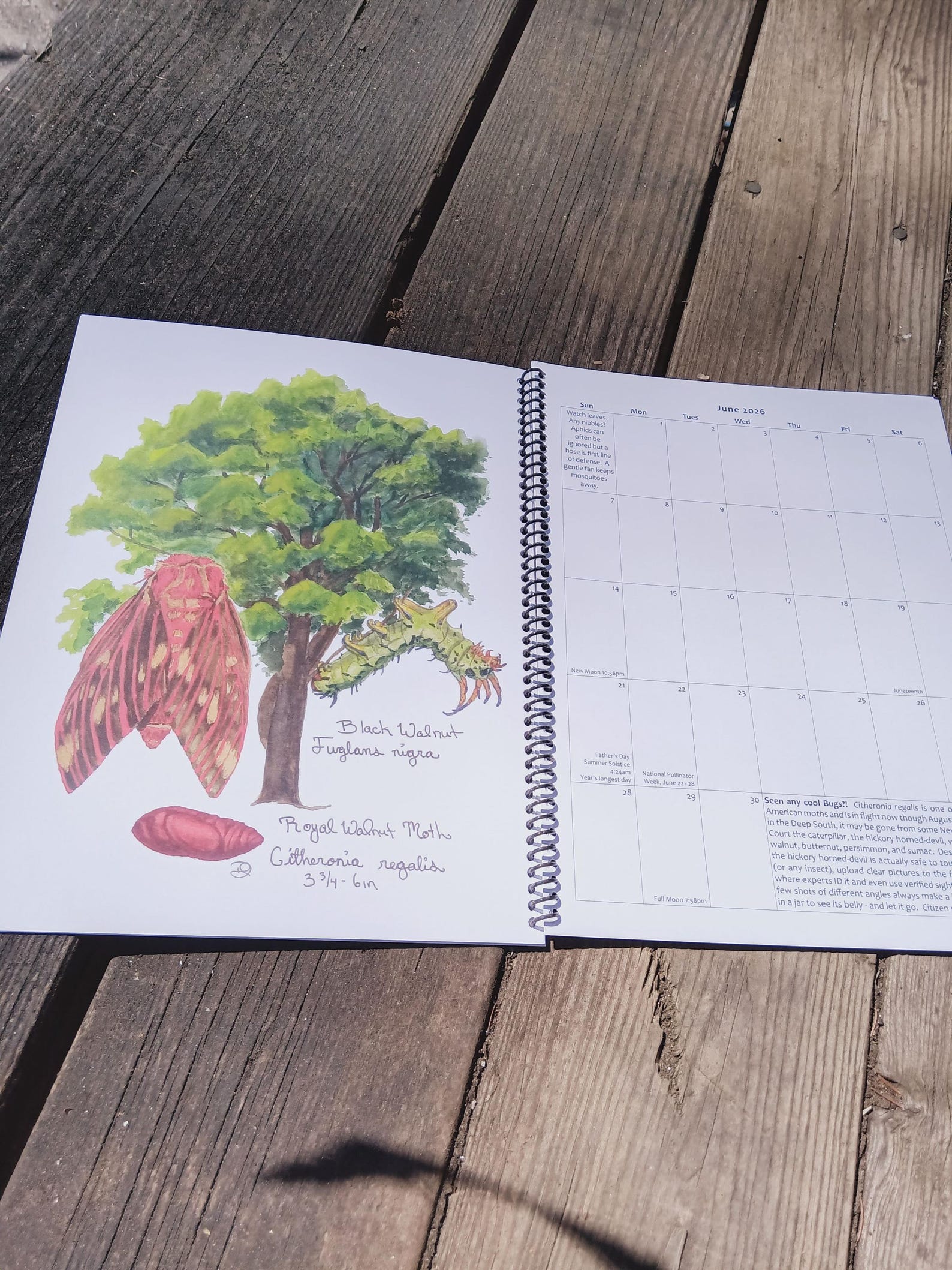 2026 Keystone Species Calendar, a Collaboration With Doug Tallamy - Etsy
