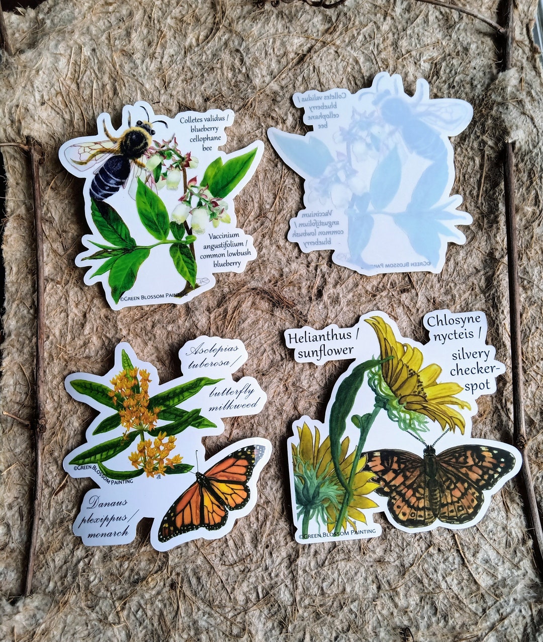 STICKERS Pollinators & Specialist Bees and Butterflies, Approx 4-5 ...