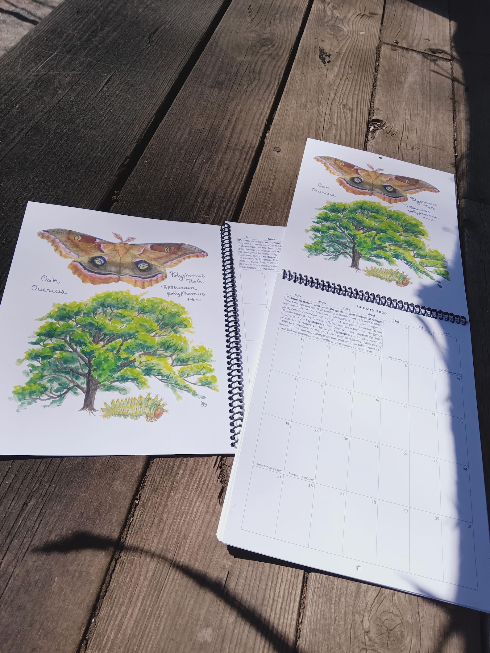 2026 Keystone Species Calendar, a Collaboration With Doug Tallamy - Etsy